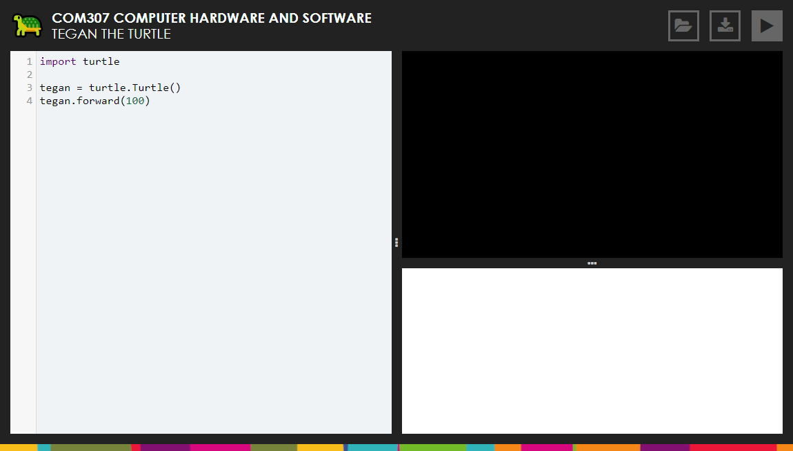 Tegan the Turtle Workshop